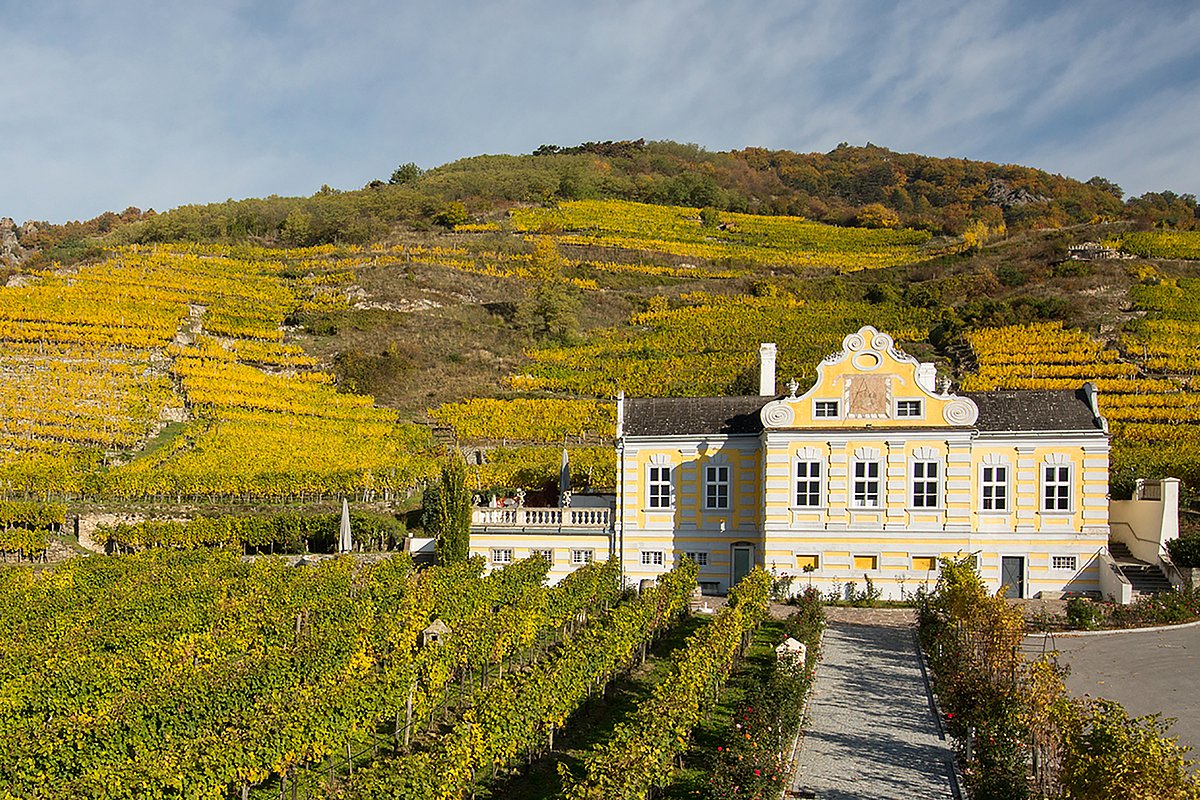 Domäne Wachau - Vinea Wachau