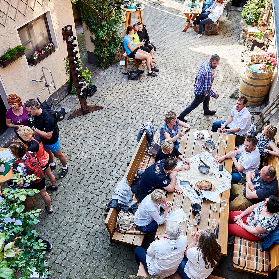 Wachauer Weinfrühling - Vinea Wachau