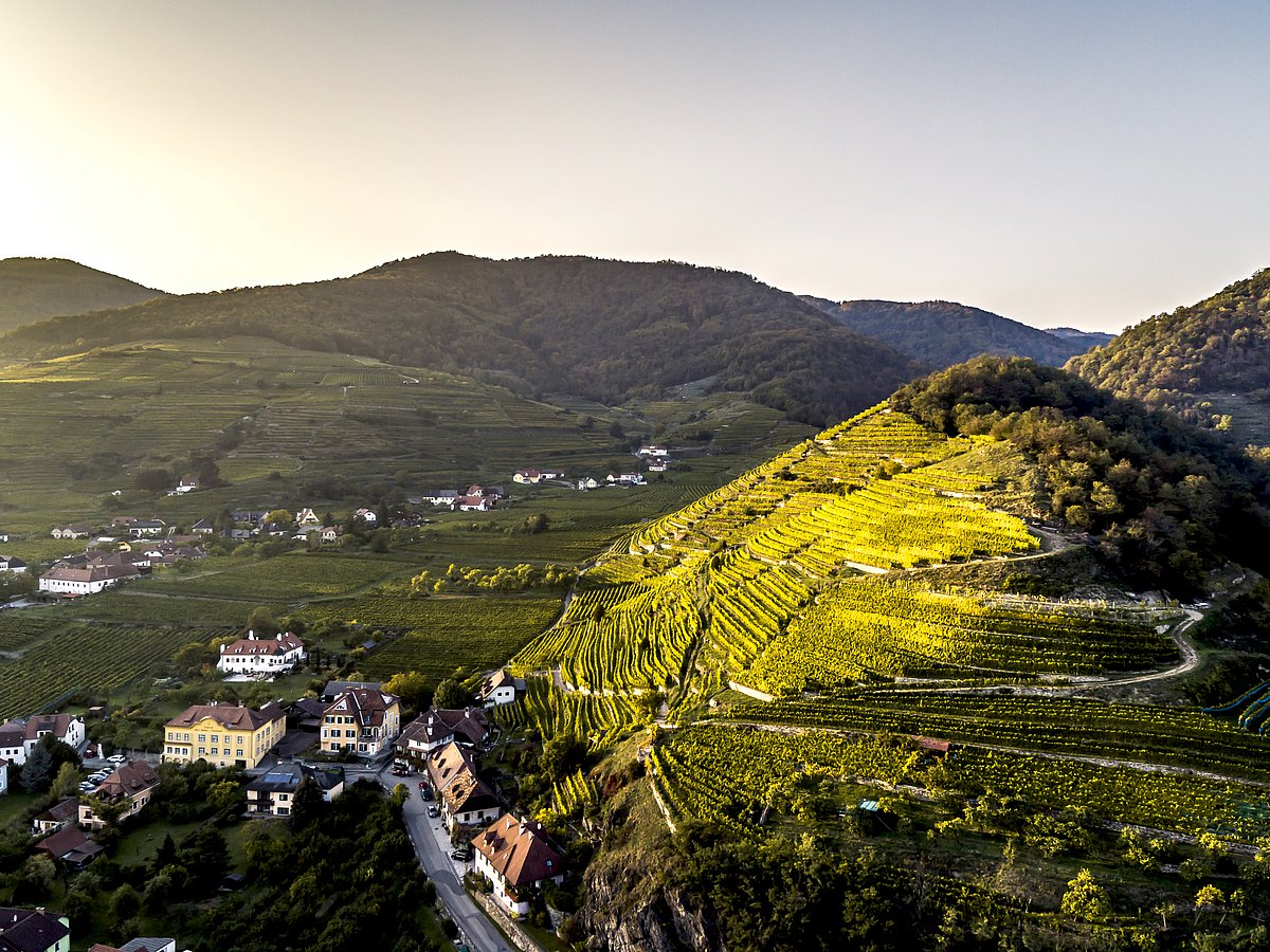 Magazin Forum Steillage: Rückblick mit Ausblick - Vinea Wachau